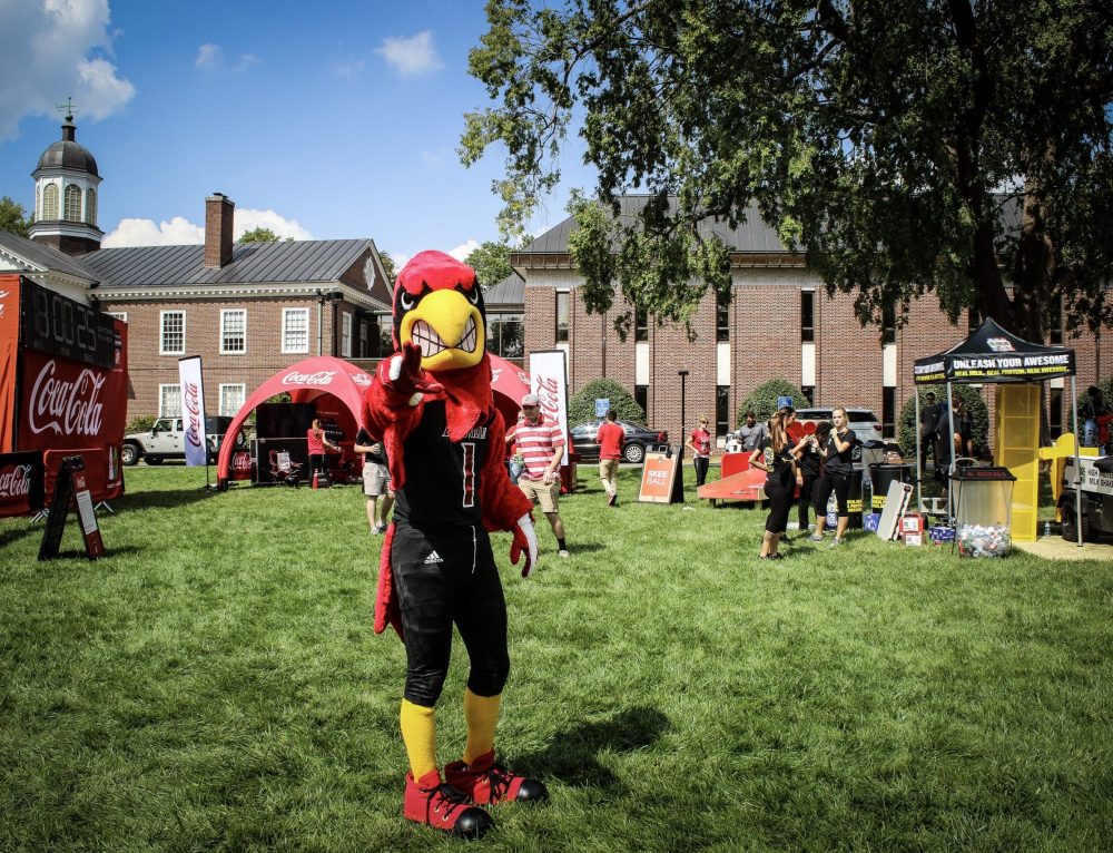 Behind the mask: Louie the Cardinal • The Louisville Cardinal