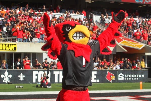 Birds of a Feather: James Madison – The Louisville Cardinal