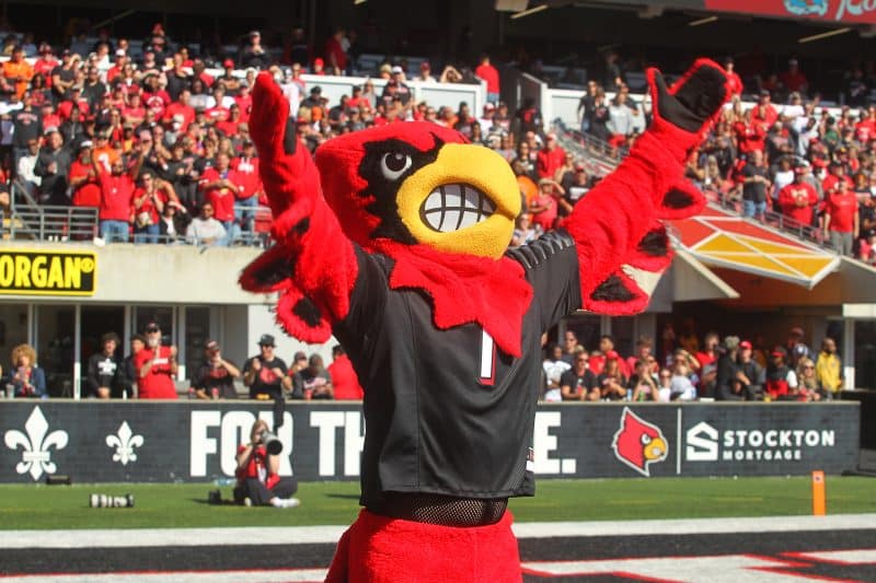 Birds of a Feather: James Madison – The Louisville Cardinal